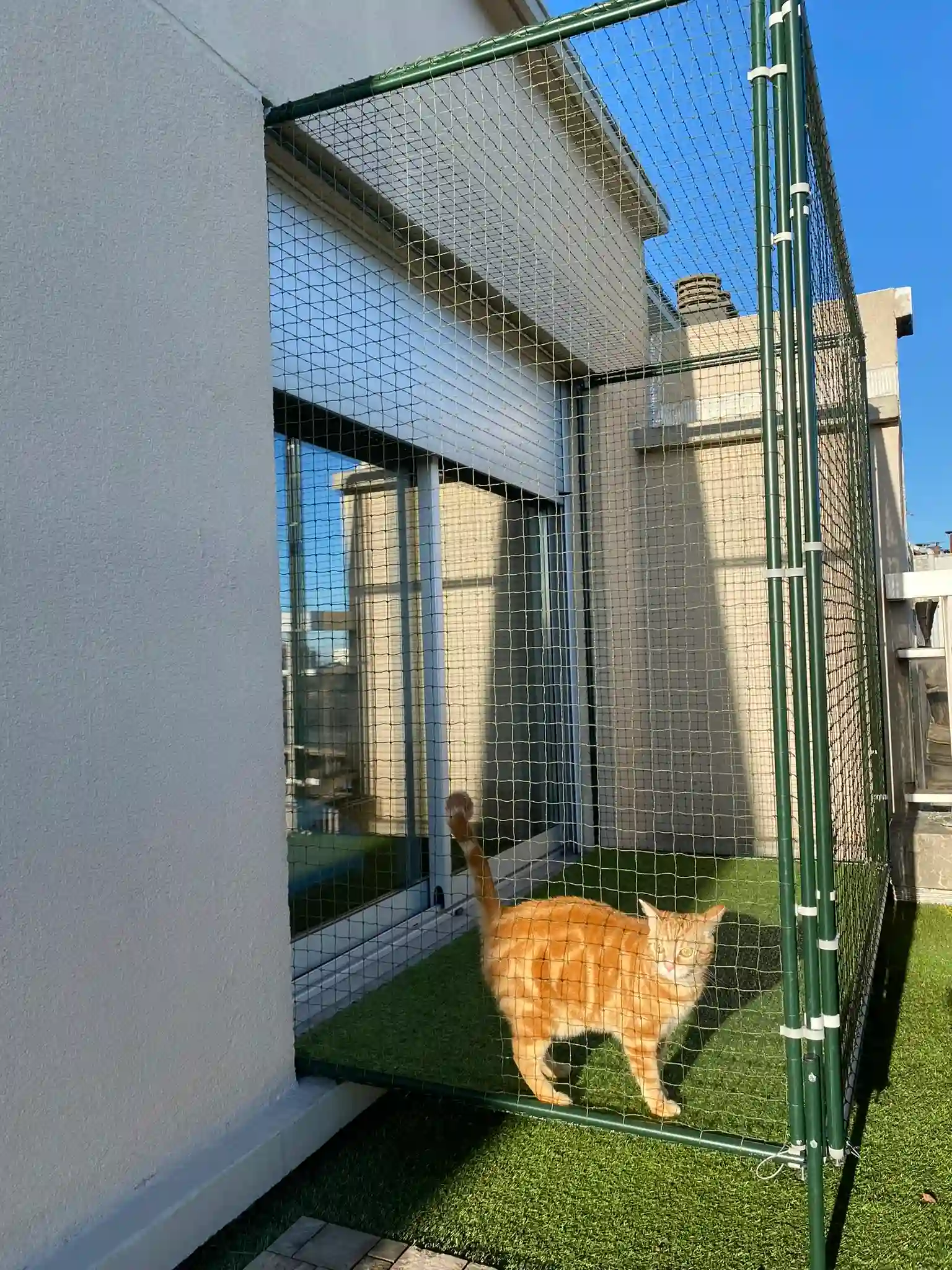 Filets de Protection pour Chats | Anti-Chute & Anti-Fugue | Tiger